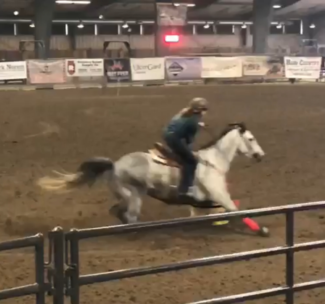 The story I'm sticking to - Michelle Davey