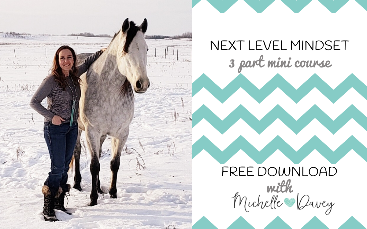 Next Level Mindset Mini Course - Michelle Davey